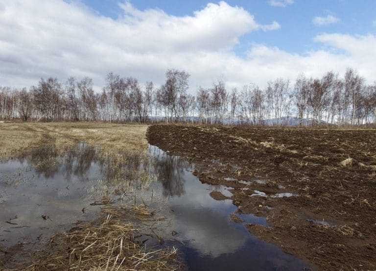 Barbecho - Qué es, características, clasificación y usos