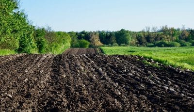 Barbecho - Qué es, características, clasificación y usos