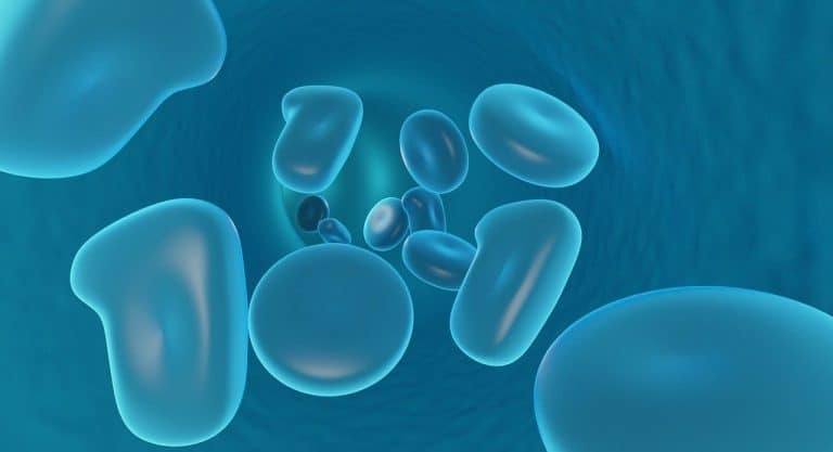 Biología celular - Qué es, definición, referentes y aplicaciones