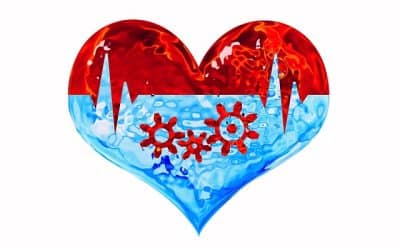 Biorritmo - Qué es, definición y concepto