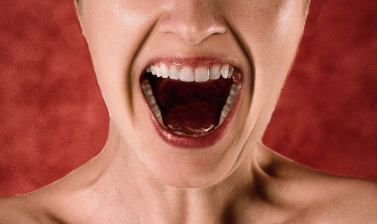 Boca - Qué es, definición, importancia y usos