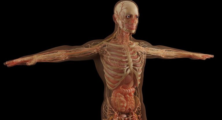 Bioelementos - Qué es, tipos, definición y concepto