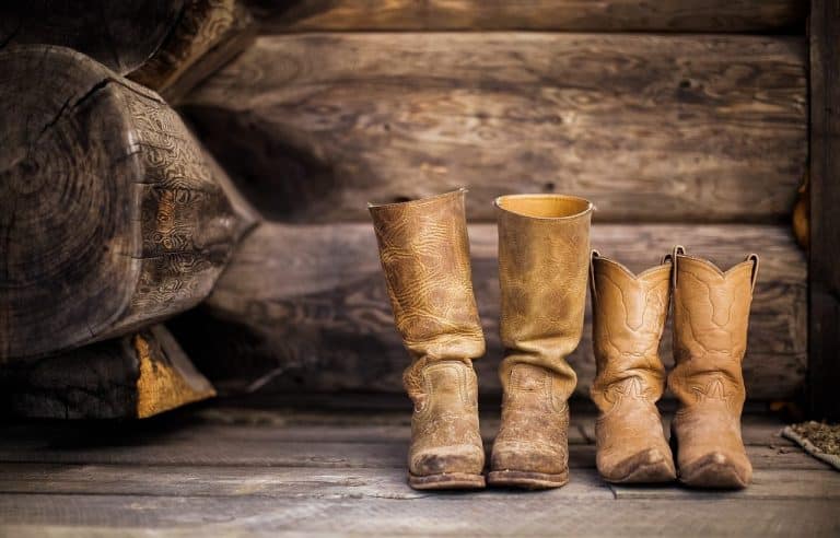 Bota - Qué es, tipos, definición y concepto