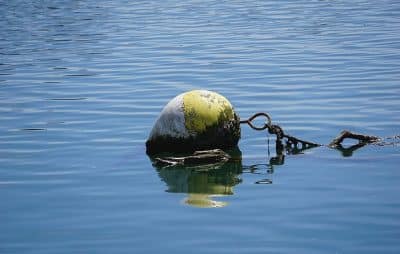 Boya - Qué es, definición, tipos y clases