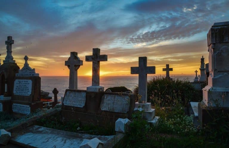 Cadáver - Qué es, definición y concepto