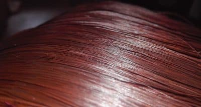 Caoba - Qué es, definición, tipos y características