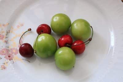 Colación - Qué es, definición y concepto