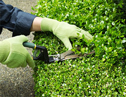 Definición de cuarto menguante - Qué es, Significado y Concepto