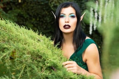 Elfo - Qué es, definición, origen y características