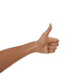 Fidedigno - Qué es, ejemplos, definición y concepto