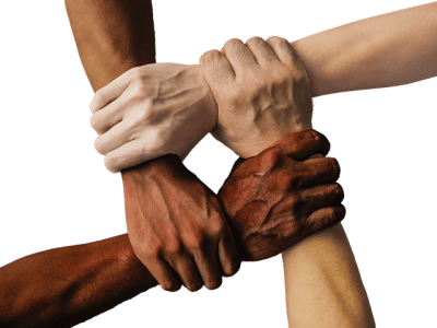 Interrelación - Qué es, ejemplos, definición y concepto