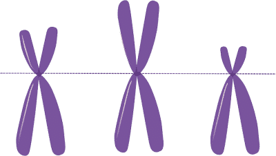 Locus - Qué es, definición, importancia y en la psicología