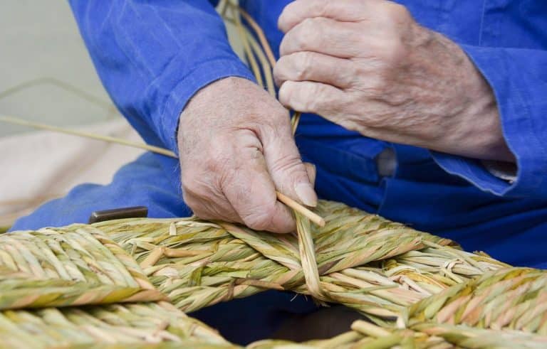 Manual - Qué es, importancia, definición y concepto