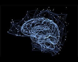 Definición de neurociencia - Qué es, Significado y Concepto