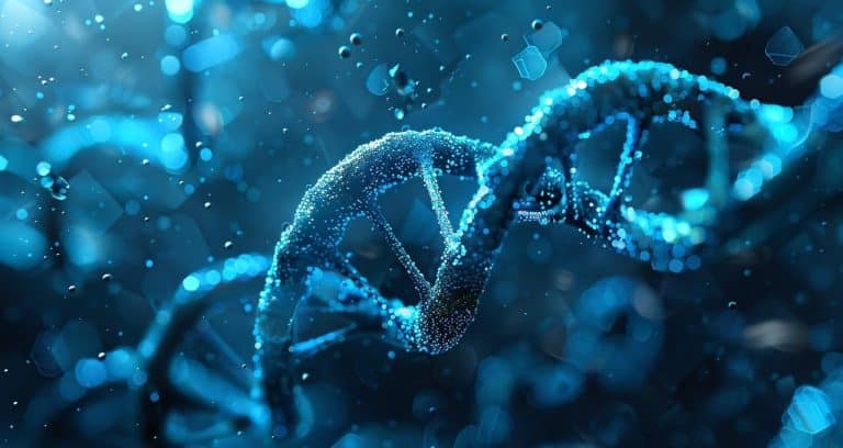 Sociobiología - Qué es, definición y concepto