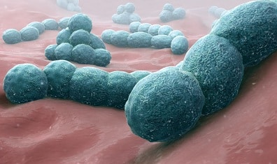 Definición de bactericida - Qué es, Significado y Concepto