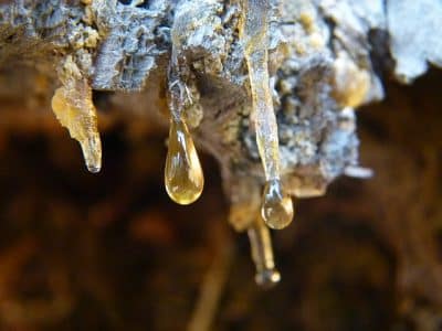 Brea - Qué es, definición, tipos e historia