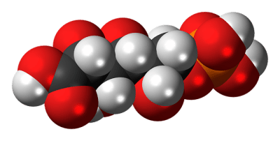 Fosfato - Qué es, definición, características e importancia