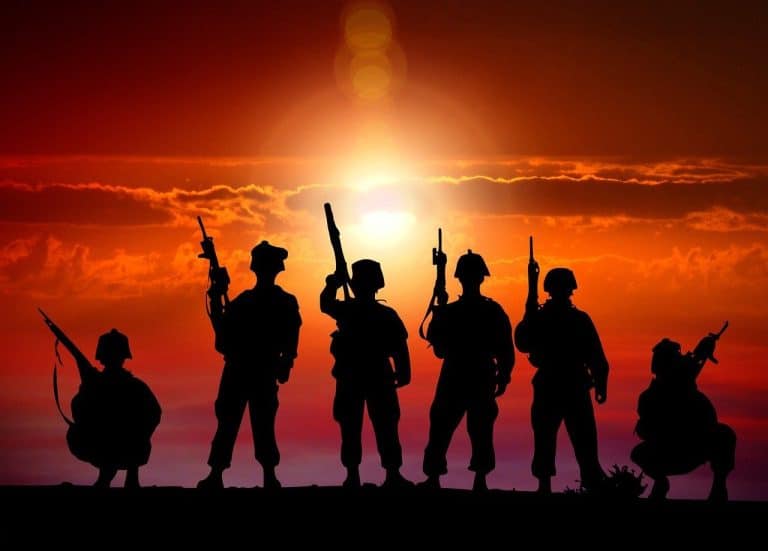 Desarme - Qué es, definición y concepto