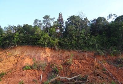 Desprendimiento - Qué es, definición y concepto