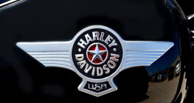 Insignia - Qué es, evolución, historia y clasificación