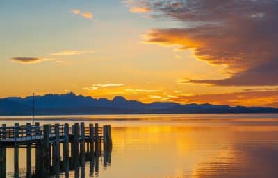 Muelle - Qué es, tipos, función y estructura