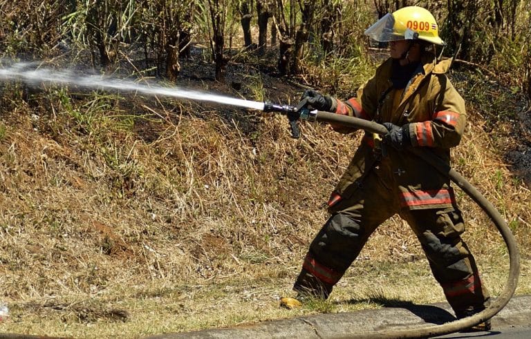 Incendio forestal - Qué es, consecuencias, definición y concepto